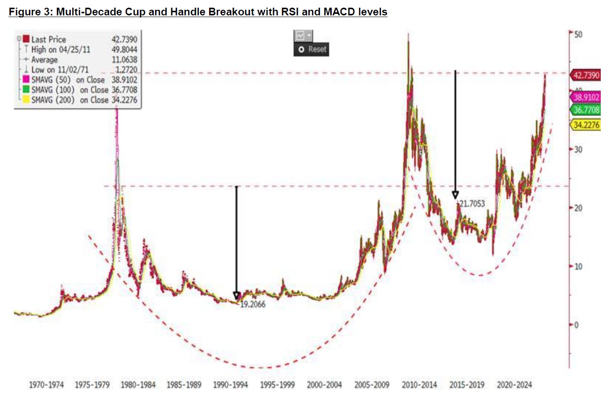 Silver sees best annual return in 10 years; holds 45-year trend on ...