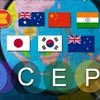 What is RCEP, What is Regional Comprehensive Economic Partnership, RCEP ...