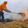 What is Stubble Burning ? Impact on Air Pollution, Alternative of ...