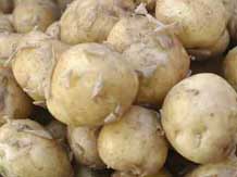 Potato falls by 3.6% on adequate supply