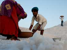 Kutch salt refiners lose market share