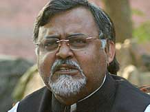 Work in DVC's Raghunathpur project to resume soon: Partha