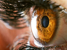 Researchers develop synthetic soft tissue retina