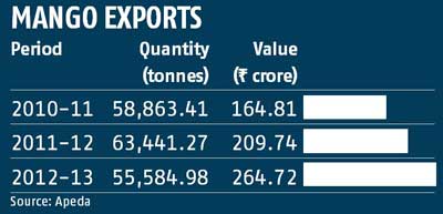Stringent norms depulp mango export