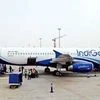 IndiGo lures grounded SpiceJet pilots