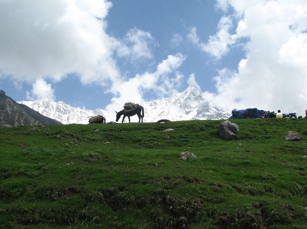 Ambler's Diary: Utter peace on a hilltop