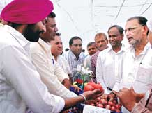 Kisan Mandi to open direct selling window for farmers in Delhi ...