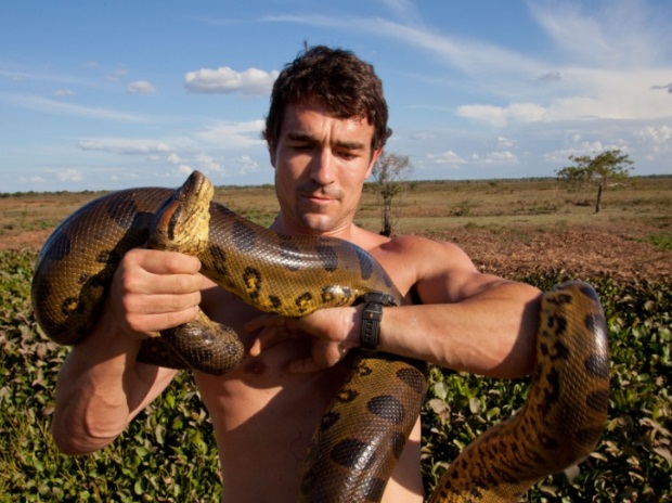 Tiger poaching has been a thriving trade in India: Niall McCann