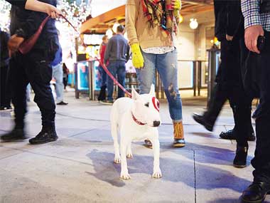 Target's dog mascot learns new tricks | Features on Strategy - Business ...
