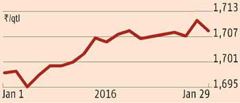 Commodity picks | Commodity - Food & Edible Oils - Business Standard