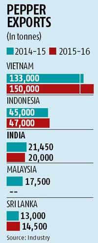 Low production likely to shrink pepper exports | Commodity - Food ...
