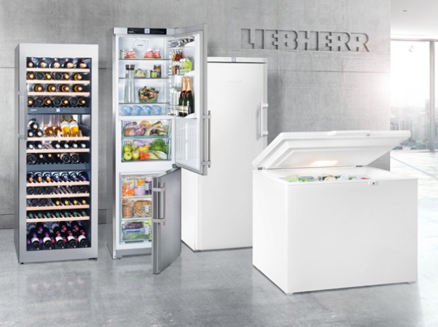 Gremany's Liebherr-Hausgeräte to invest Rs 500 cr in manufacturing unit ...