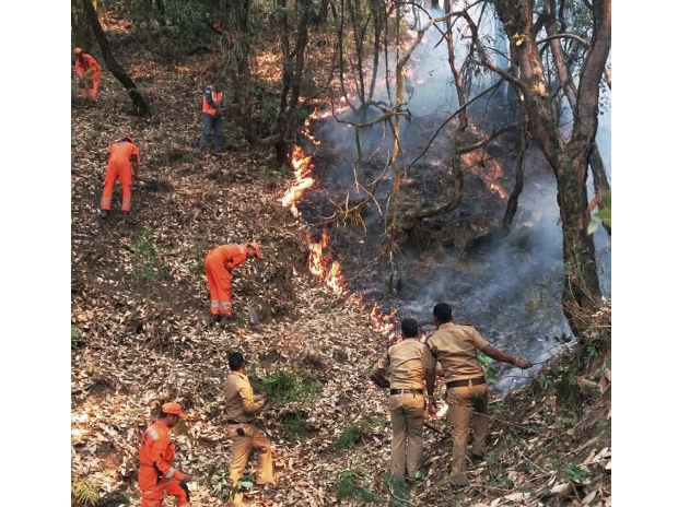Rain spell brings relief to blazing forest fires in Uttarakhand