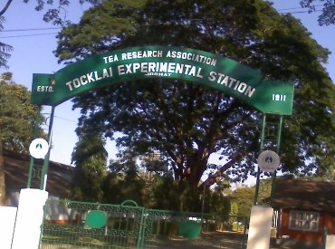 Fund crunch affecting tea research works at TRA's Tocklai institute ...