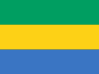 Soldiers in Gabon seize power, republican guard chief new head of state ...