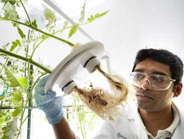 Bayer Crop Science brings high-tech digital tools to India's farms ...