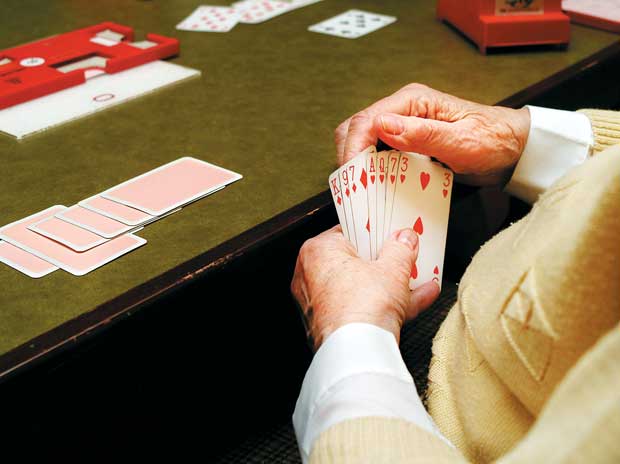 Bridge brigade | Business Standard News