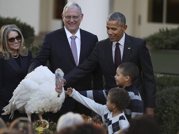 Barack Obama makes final Thanksgiving turkey pardon