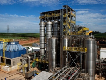 Amyris & Nikkol Group form cosmetics ingredient JV | Business Standard News