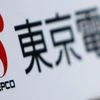 Tepco to name underwriters this month for landmark bond sale