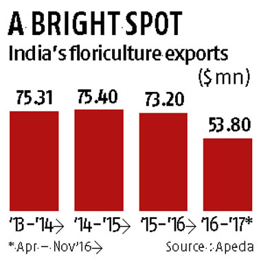 Indian rose exporters cheer Valentine's Day | Market - Other ...