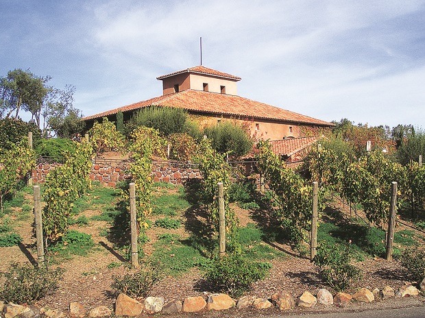 Napa Valley: Tippling in wine country | Beyond Business Features ...