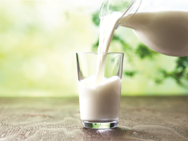 Processed milk is unsafe for consumption, doesn't meet quality norms ...