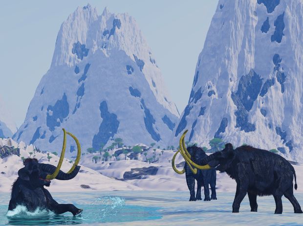 How they survived an ice age | Beyond Business Features - Business Standard