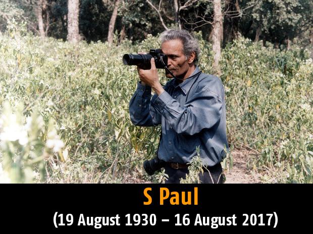 Remembering S Paul, the recluse with a camera | Business Standard News