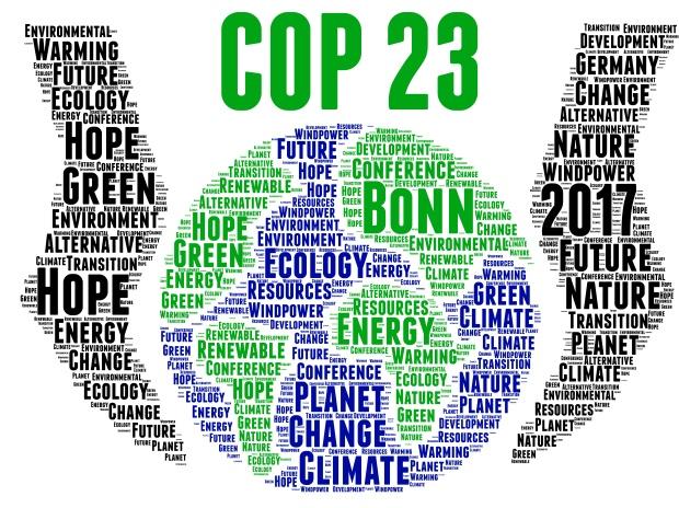 COP 23: Three ways cities are leading the fight against climate change