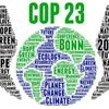 COP 23: Three ways cities are leading the fight against climate change