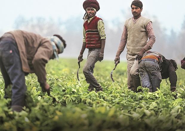 International Labour Day: Profiling the Indian workforce | Business ...