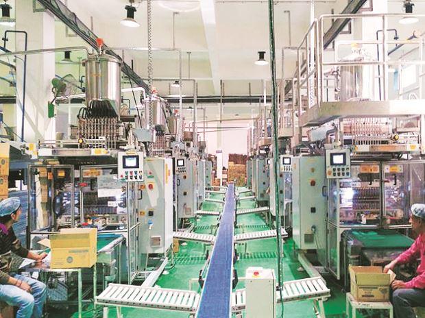 FMCG company CavinKare chalks out new strategy: Divide and rule ...