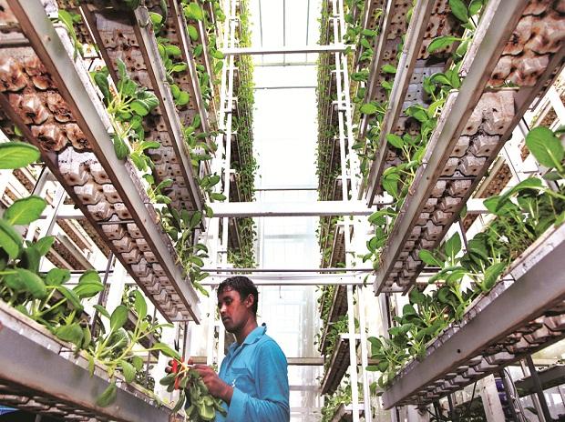 Skyscraper farms, solution to world's rising food demand, set to go global
