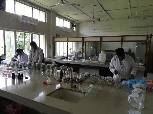 Tocklai, the world's oldest tea research institute, faces a fund crunch ...