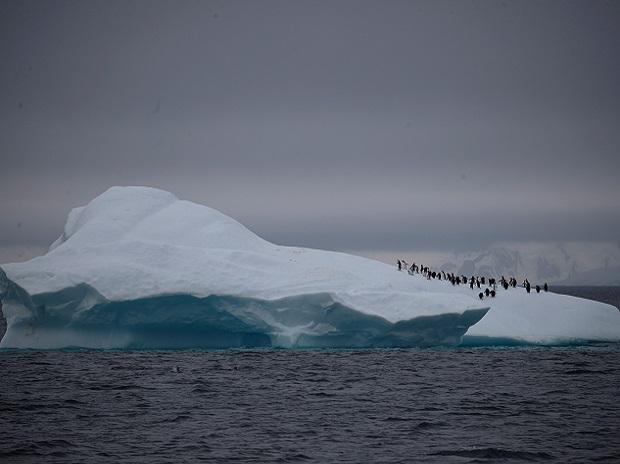 Summers in Arctic were ice-free over 100,000 years ago, finds research ...