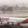 SpiceJet operates Amsterdam-India repatriation flight with 269 Indians