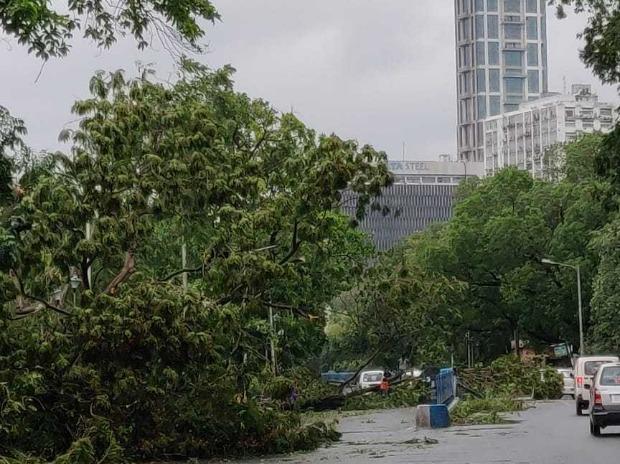 Aftermath of Cyclone Amphan in pictures | Business Standard News