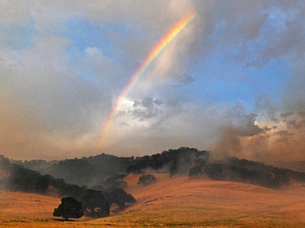 In pictures: Hundreds of wildfires burning across the state in ...