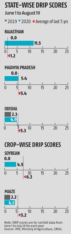CRISIL DRIP: Stress is reducing in most crops as rains return in August ...