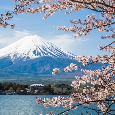 Why has Japan blocked the iconic view of Mount Fuji? All you need to ...