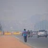 Air pollution exposure linked to higher risk of irregular heartbeat: Study