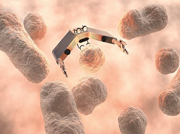 The possibilities as the first 'living robots' reproduce | Technology ...