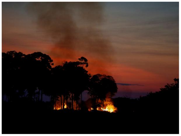 Brazil Amazon fires hits 5-year high in August amid surge in ...