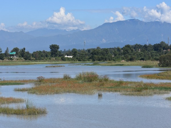 25 years into conservation Wetlands International South Asia marks ...