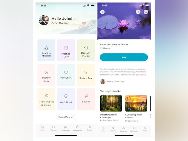Idanim - A Mental Wellness and meditation App for Corporate ...