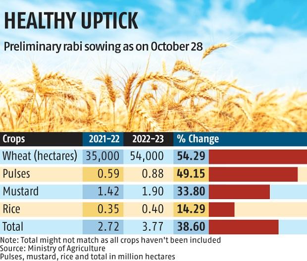 Sowing hope: Nearly 54% jump in early wheat planting, shows data ...