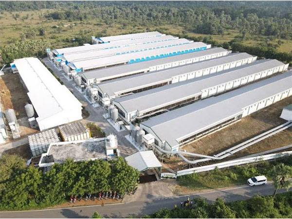 OVO Farm is revolutionising the egg industry by using blockchain technology