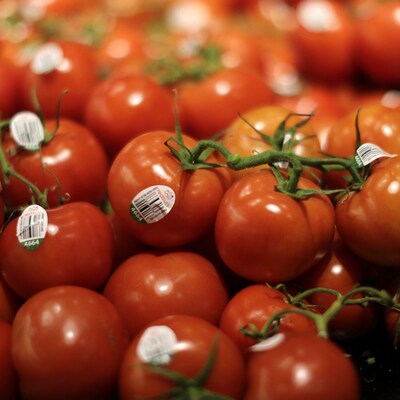 Tomato prices surge to Rs 90 per kg in Delhi markets amid supply woes | Economy & Policy News ...