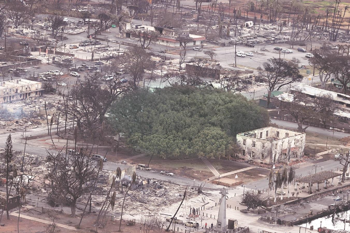 Hawaii's biggest disaster kills 55 people with 1000 still missing ...